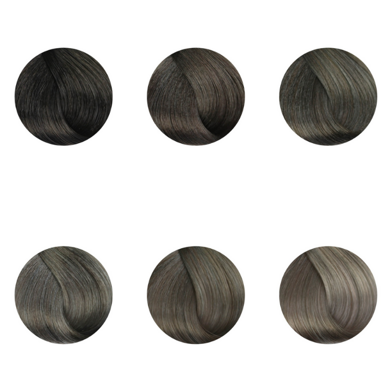 Inebrya Color Intense Ash